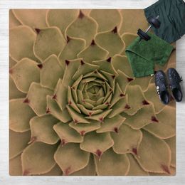 Bilderwelten Kork-Teppich Tropisch gr&uuml;n Korkmatte - Steinrose Jovibarba Hirta - Pflanzen Wohnzimmer Schlafzimmer