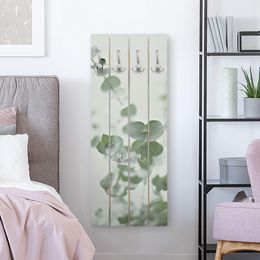 Bilderwelten Wandgarderobe Wachsende Eukalyptuszweige