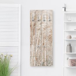 Bilderwelten Wandgarderobe Warmes Pampasgras im Sommer