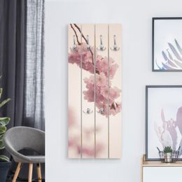 Bilderwelten Wandgarderobe Zartrosane Fr&uuml;hlingsbl&uuml;te mit Bokeh