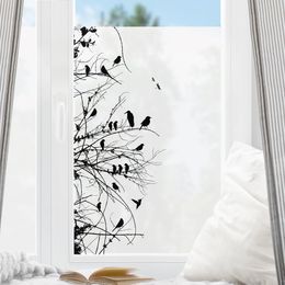 Bilderwelten Fensterfolie Wald Landhaus Sichtschutz schwarz - Branches and Birds in Spring - B&auml;ume Wohnzimmer Schlafzimmer K&uuml;che
