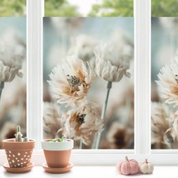 Bilderwelten Fensterfolie Blumen modern Sichtschutz pastell - Blumen Nahaufnahme - Deko Wohnzimmer Schlafzimmer K&uuml;che