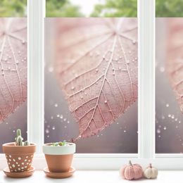 Bilderwelten Fensterfolie Rosa Blatt Close-Up