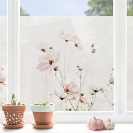 Bilderwelten Fensterfolie Blumen Landhaus Sichtschutz beige - Cosmea in zarten Cremet&ouml;nen - Deko Wohnzimmer Schlafzimmer K&uuml;che