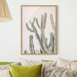 Bilderwelten Bild mit Rahmen pastell Tropisch inkl. Rahmung - Kaktus vor Pastellrosa - Pflanzen Wohnzimmer Schlafzimmer
