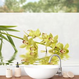 Bilderwelten Fensterfolie Blumen Motiv Sichtschutz weiss - Elegant Orchid Waters - Orchidee Wohnzimmer Schlafzimmer K&uuml;che