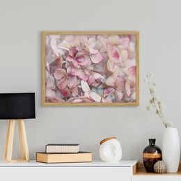 Bilderwelten Bild mit Rahmen Blumen rosa modern inkl. Rahmung - Close-Up Rosa Hortensie - Deko Wohnzimmer Schlafzimmer