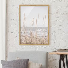 Bilderwelten Bild mit Rahmen Strand beige Tropisch inkl. Rahmung - Gr&auml;ser am Meer - Gr&auml;ser Wohnzimmer Schlafzimmer