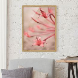 Bilderwelten Bild mit Rahmen Blumen rosa modern inkl. Rahmung - Feuerlilie - Deko Wohnzimmer Schlafzimmer