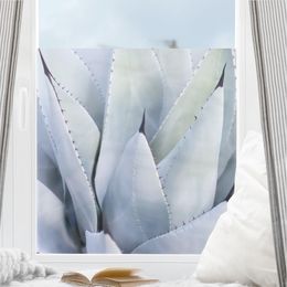 Bilderwelten Fensterfolie Fensterhaftfolie Tropisch Sichtschutz blau - Agavenbl&auml;tter - Pflanzen Wohnzimmer Schlafzimmer K&uuml;che