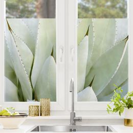 Bilderwelten Fensterfolie Aloe