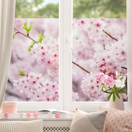 Bilderwelten Fensterfolie Blumen Motiv Sichtschutz rosa - Japanische Kirschbl&uuml;ten - Kirschbl&uuml;te Wohnzimmer Schlafzimmer K&uuml;che
