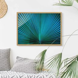 Bilderwelten Bild mit Rahmen Natur t&uuml;rkis Tropisch inkl. Rahmung - Tropische Pflanzen Palmenblatt in T&uuml;rkis II - Palme Wohnzimmer Schlafzimmer