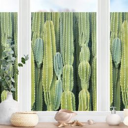 Bilderwelten Fensterfolie Kaktus Wand
