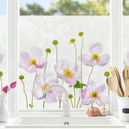Bilderwelten Fensterfolie Blumen Motiv Sichtschutz weiss - Japanische Anemonen - Deko Wohnzimmer Schlafzimmer K&uuml;che
