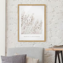 Bilderwelten Bild mit Rahmen Blumen beige Tropisch inkl. Rahmung - White Lavender - Pflanzen Wohnzimmer Schlafzimmer