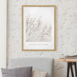 Bilderwelten Bild mit Rahmen Blumen beige Tropisch inkl. Rahmung - White Lavender - Pflanzen Wohnzimmer Schlafzimmer