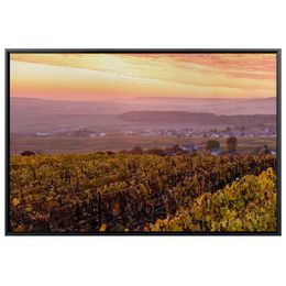 Leinwandbild Weinplantage bei Sonnenuntergang