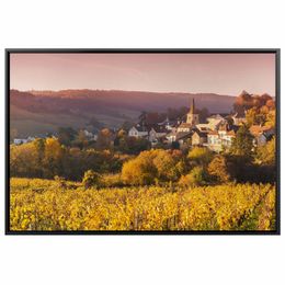 Leinwandbild Weinberge in Frankreich