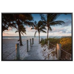 Leinwandbild Palmen am Steg zum Meer