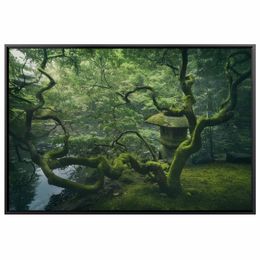 Leinwandbild Magischer Baum