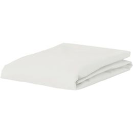 Esprit Spannbettlaken &raquo;SHEET&laquo; mit Gummizug beige Jersey-Elasthan, Obermaterial: 95% Baumwolle, 5% Elasthan