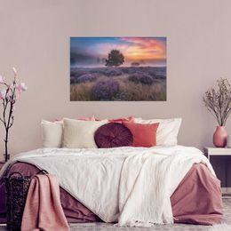 Bilderwelten Leinwandbild Natur Landhaus Kunstdruck violett - Bunter Sonnenaufgang im Lavendelfeld - Landschaft XXL Wohnzimmer Schlafzimmer