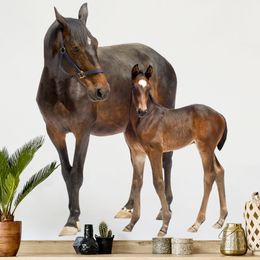 Bilderwelten Wandtattoo Tiere modern selbstklebend Wandaufkleber - Trakehnerstute & Fohlen - Pferde Wohnzimmer Schlafzimmer