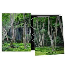 Bilderwelten Herdabdeckplatte Glas 2-teilig Wald Motiv Ceranfeldschutz gr&uuml;n - Japanischer Wald - B&auml;ume K&uuml;che