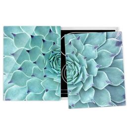 Bilderwelten 2-teilige Herdabdeckplatte Glas Kaktus Agave