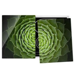 Bilderwelten 2-teilige Herdabdeckplatte Glas Mandala Sukkulente