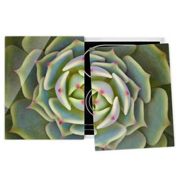 Bilderwelten 2-teilige Herdabdeckplatte Glas Sukkulente - Echeveria Ben Badis