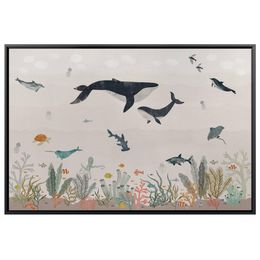 Leinwandbild Magische Unterwasserwelt
