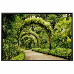 Leinwandbild Weg durch den botanischen Garten von Singapur