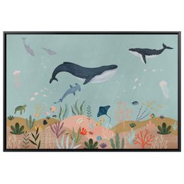 Leinwandbild Unterwasserwelt mit buntem Korallenriff