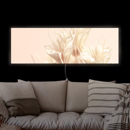 Bilderwelten LED-Wechselbild Sepia Trockenblumen