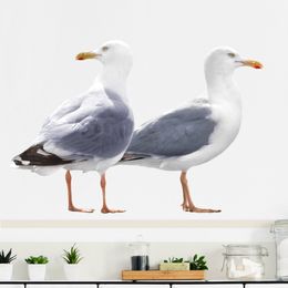 Bilderwelten Wandtattoo Tiere modern selbstklebend Wandaufkleber - No.YK4 M&ouml;wen Set - Wandsticker Wohnzimmer Schlafzimmer