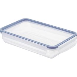Rotho clic and lock K&uuml;hlschrankdose flach 1l horizon blue - Lebensmittelbeh&auml;lter / Vorratsdosen