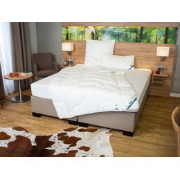 Beco Ganzjahres-Bettdecke »Proneem«, mit Milbenschutz, 100 % Baumwolle