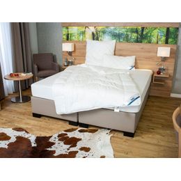 Beco Vierjahreszeiten-Bettdecke »Proneem«, mit Milbenschutz, 100 % Baumwolle