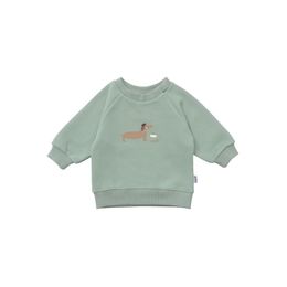 Liliput Sweatshirt 'Dackel' boy Green size 74/80