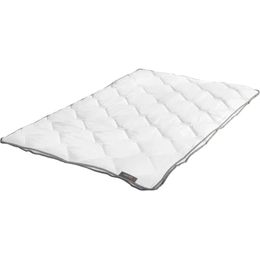 M&ouml;bel Kraft 4-Jahreszeiten-Steppbett wei&szlig; Ma&szlig;e (cm): B: 155 H: 8 &raquo; M&ouml;bel Kraft