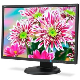 Bildschirm 22" LCD WSXGA+ NEC MultiSync E223W-BK