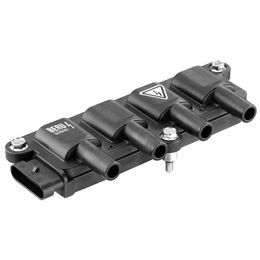 BorgWarner (BERU) Zündspule 12V für ALFA ROMEO FIAT FORD LANCIA 55200486 55200112 9S51-12029-AB ZS079