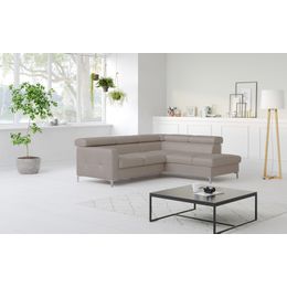 Ecksofa COTTA "Sammy L-Form", grau, B:239cm H:74cm T:207cm, Microfaser Primabelle (100% Polyester);Die R&uuml;ckseite und die Liegefl&auml;che der Bettfunktion in NaturLEDER ist mit schwarzem Spannstoff bezogen, Sofas, Ecksofa, mit Kopfteilverstellung, wahlweise mit Bettfunktion & Bettkasten