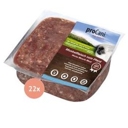 ProCani Pferdemuskelfleisch 22x500 g
