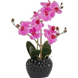 Kunstpflanze LEONIQUE, B:13cm H:38cm T:6,5cm, lila, Keramik, Kunststoff, Polyester, Badezimmer, Kunstpflanzen, "Orchidee", Kunstorchidee, im Topf,