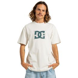 DC Shoes Damen T-Shirt "Big Deal Star", grau, Gr. M, 75% Baumwolle, 25% Baumwolle, Shirts