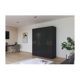 M&ouml;bel Kraft Dreht&uuml;renschrank Thurso schwarz Ma&szlig;e (cm): B: 181 H: 210 &raquo; M&ouml;bel Kraft