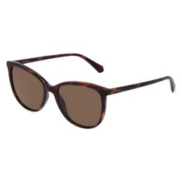 Polaroid PLD 4138/S | Damen-Sonnenbrille | Fassung: Vollrand, Butterfly, Kunststoff, Havanna Glänzend | Glasfarbe: Braun